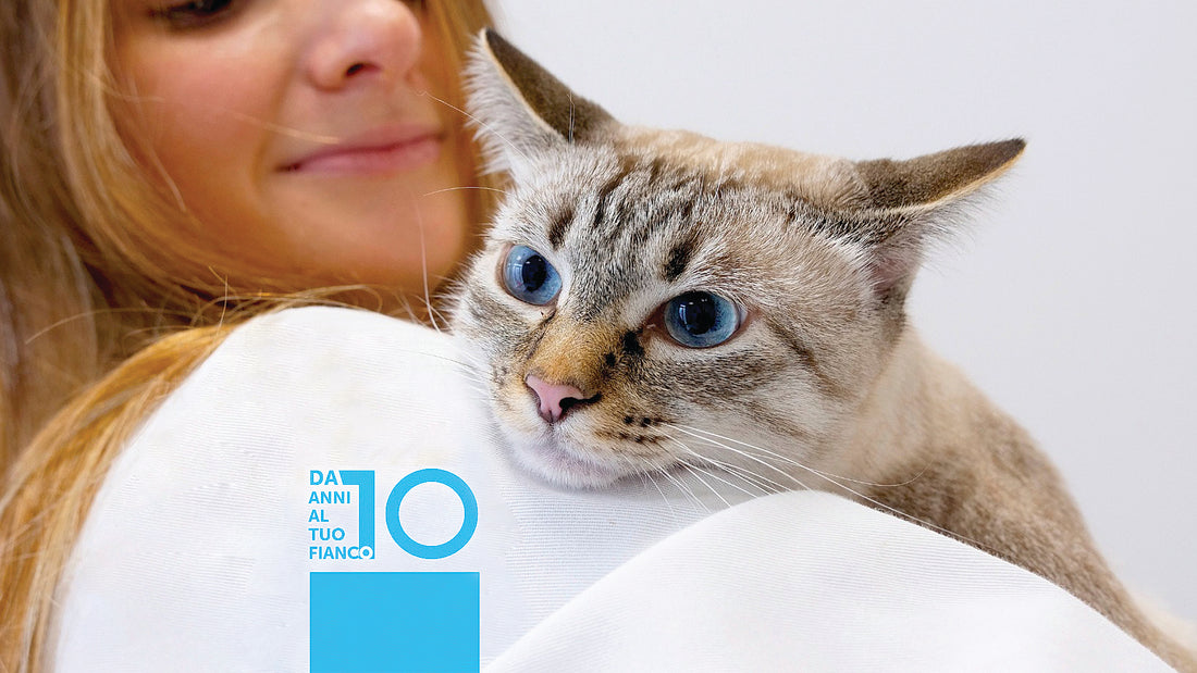 I-VET STORE / Soluzioni integrate di diagnostica veterinaria – store.ivet